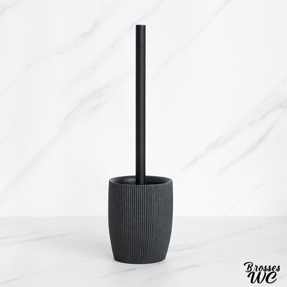 Brosse noire wc | Brosses WC